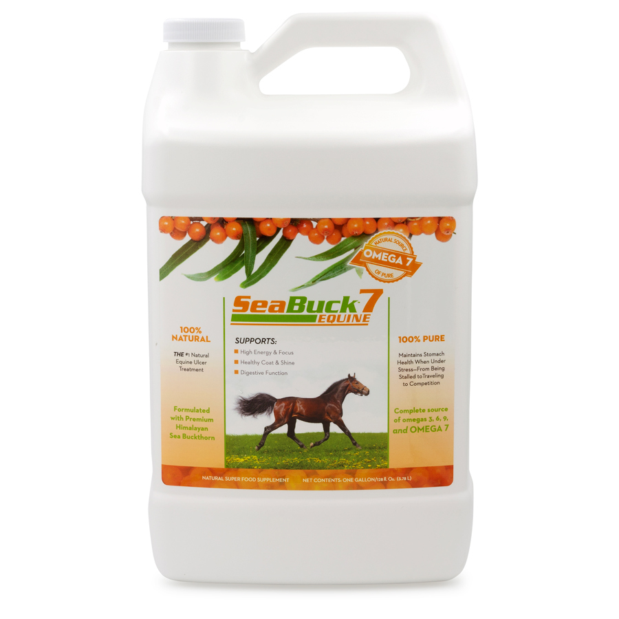 SeaBuck 7 Equine
